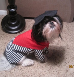 30 Amazing Dog Costumes for Halloween - Puppy Leaks