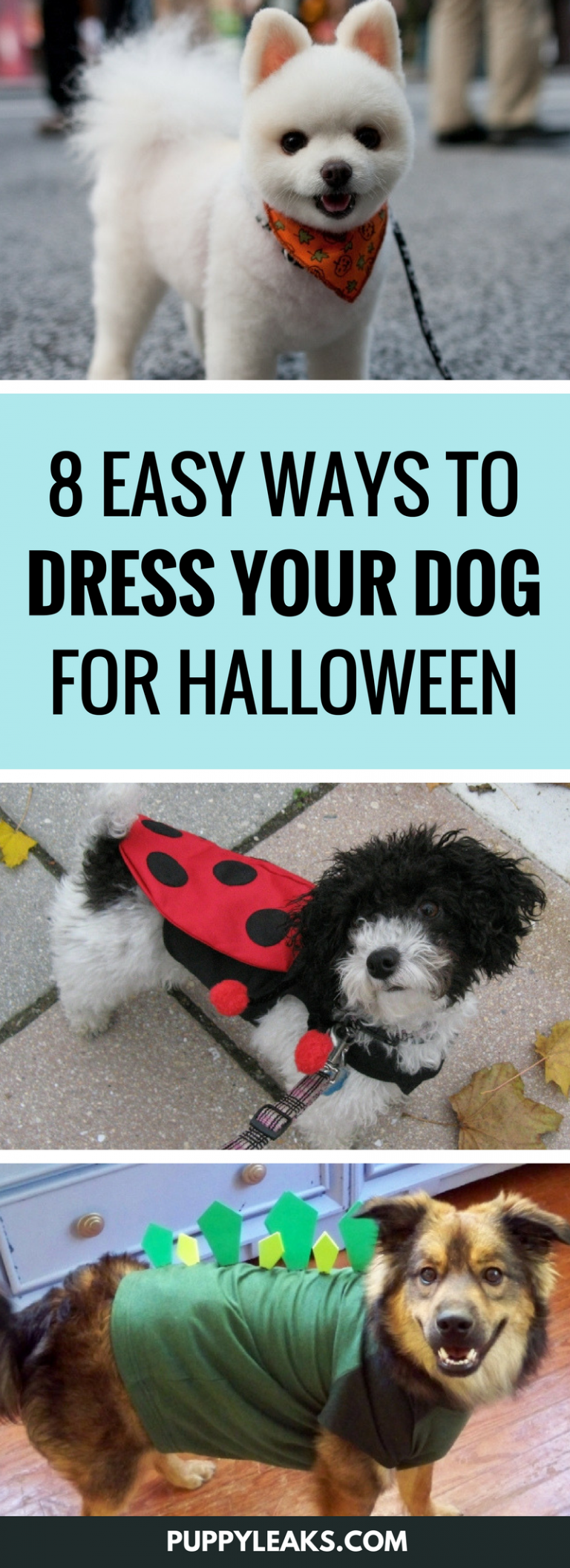 8 Easy Ways to Dress Your Dog For Halloween - Puppy Leaks