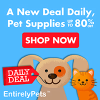 The Best Holiday Deals on Dog Supplies - Puppy Leaks