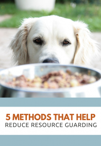 5 Methods That Will Help Reduce Resource Guarding - Puppy Leaks