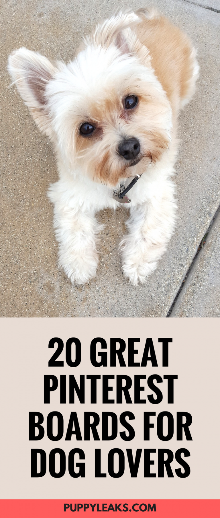 20 Great Pinterest Boards for Dog Lovers to Follow - Puppy Leaks