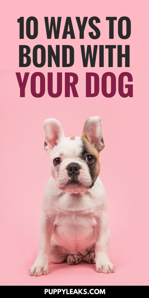 10 Ways to Bond With Your New Dog - Puppy Leaks