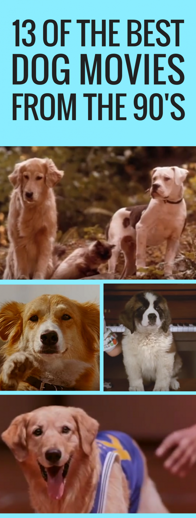 The 13 Best Dog Movies From the 90's - Puppy Leaks