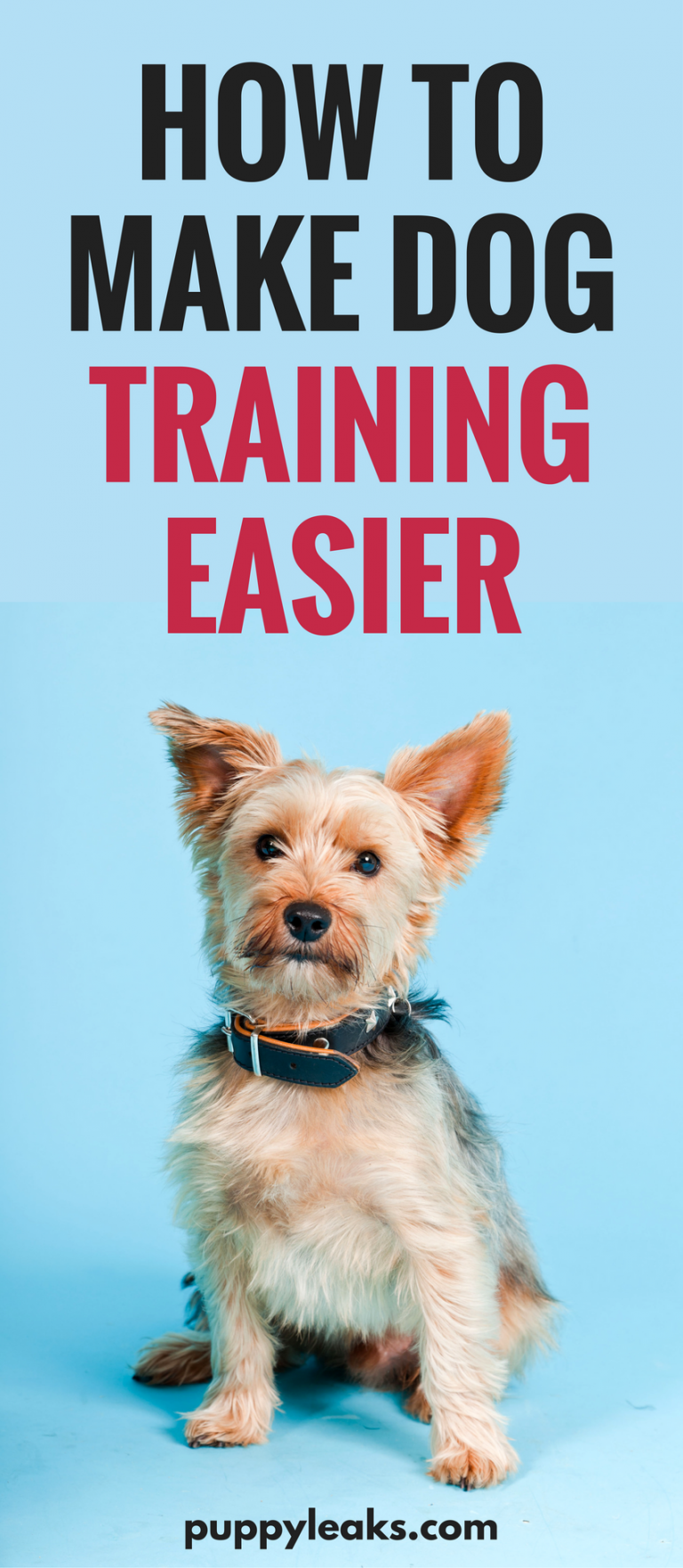 10 Tips That Make Dog Training Easier - Puppy Leaks