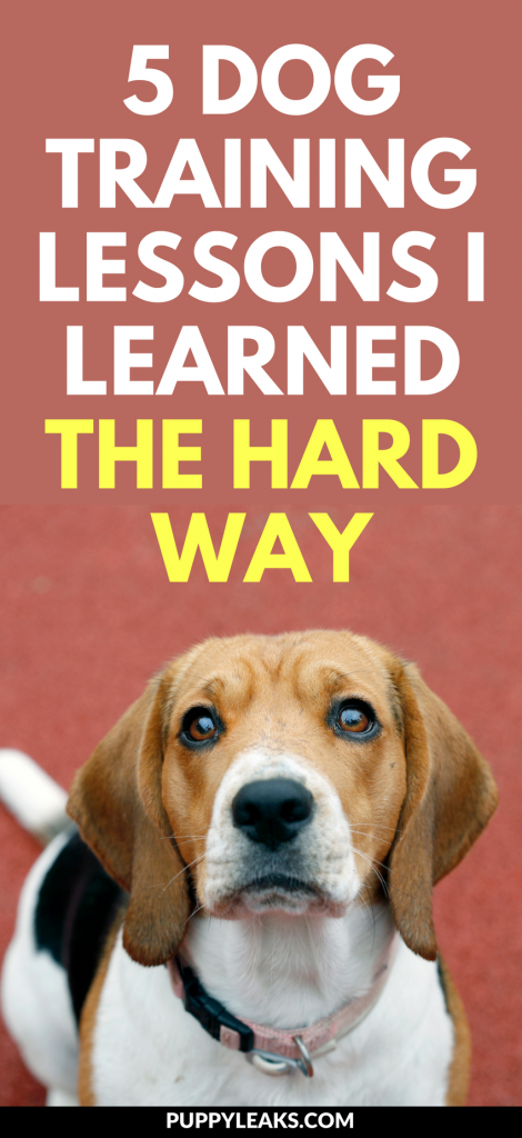 5 Dog Training Lessons I Learned The Hard Way - Puppy Leaks