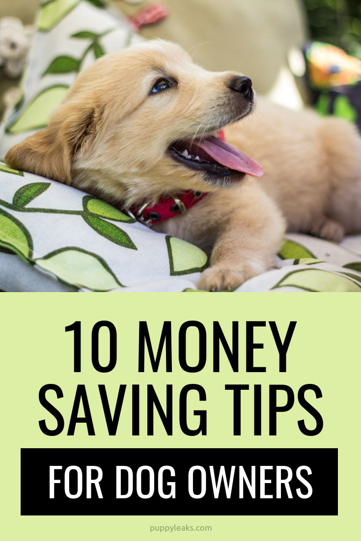 10 Money Saving Tips For Dog Owners - Puppy Leaks