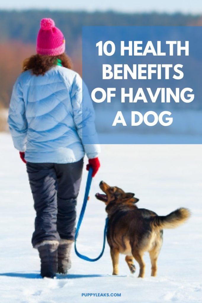 10 Health Benefits of Having a Dog - Puppy Leaks