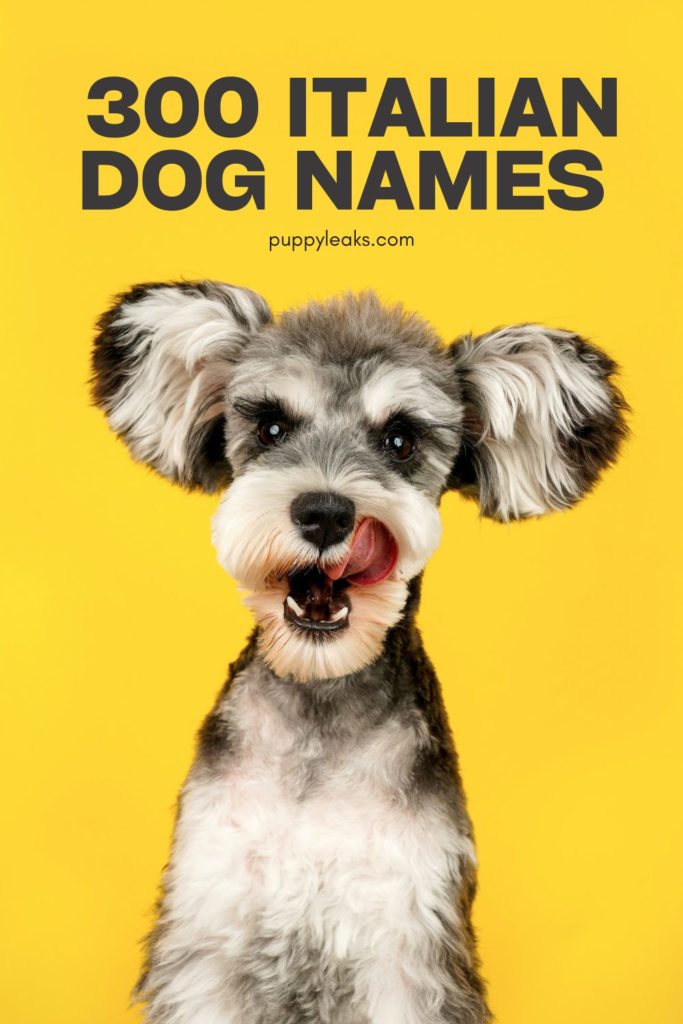 300 Italian Dog Names - Puppy Leaks